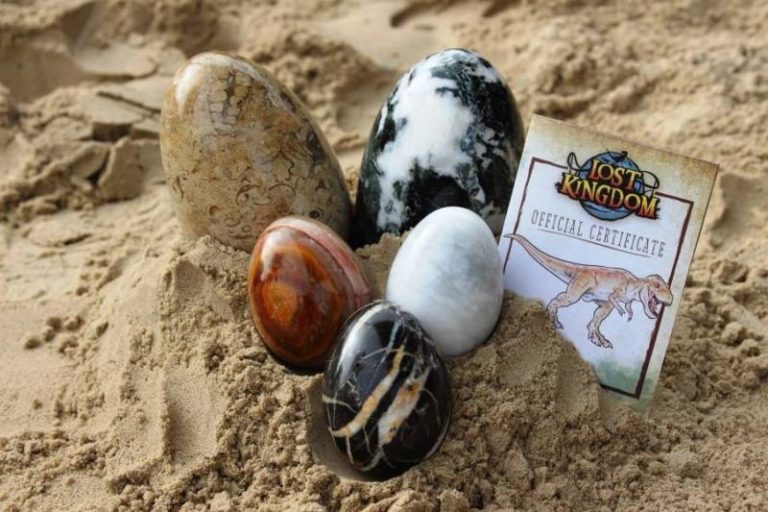 10 Awesome facts about dinosaur eggs - Paultons Park Blog