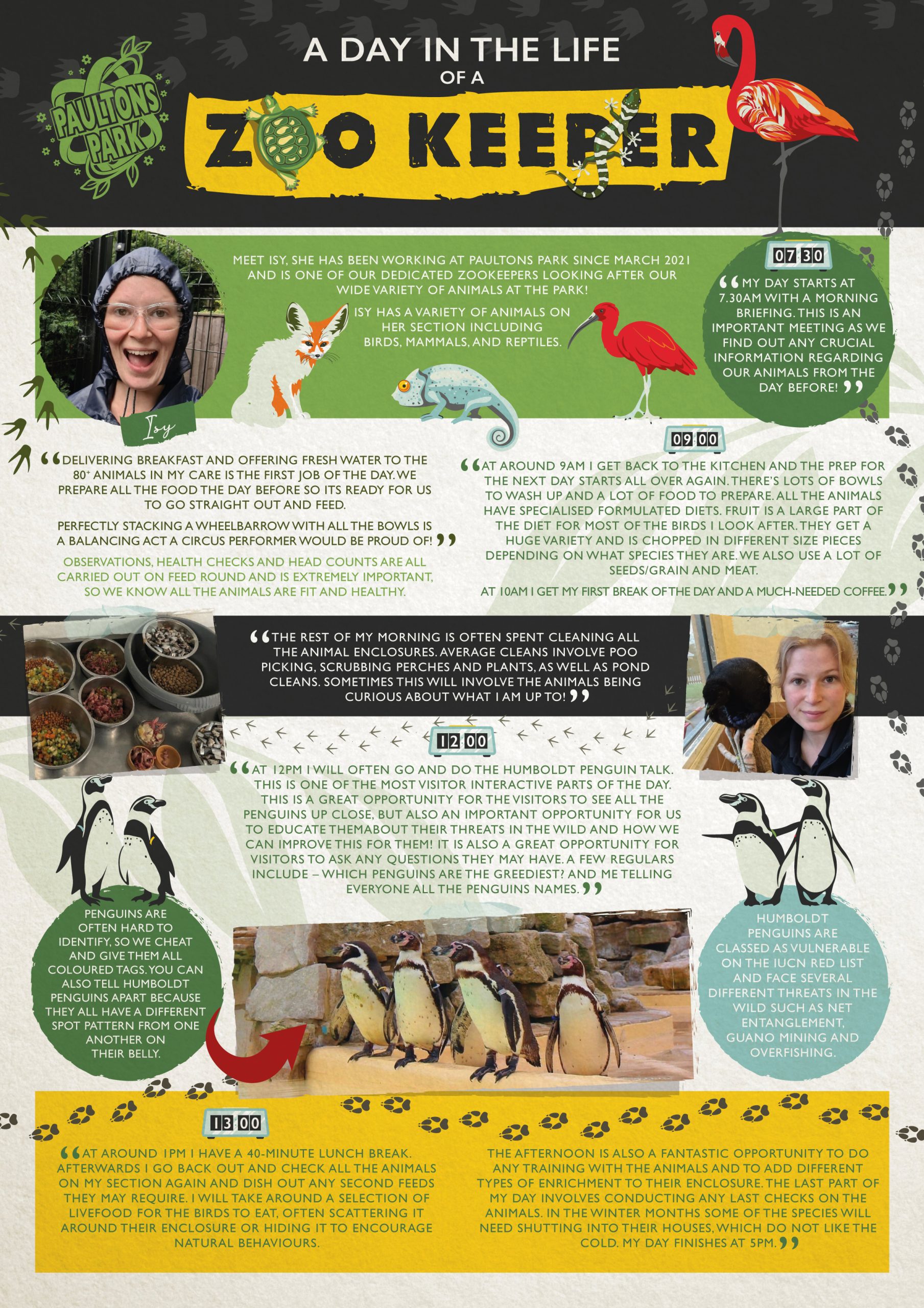 A Day in the Life of a Zoo Keeper - Paultons Park Blog