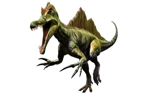 10 ROAR-Some facts about the Spinosaurus - Paultons Park