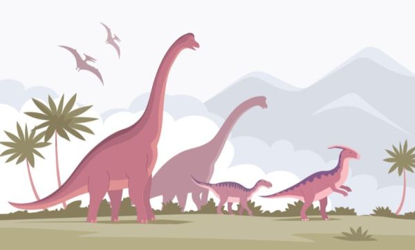 The difference between a Brontosaurus, a Diplodocus and a Brachiosaurus